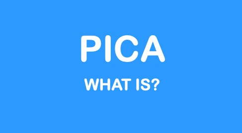 Four Facts About Pica | Exchanges